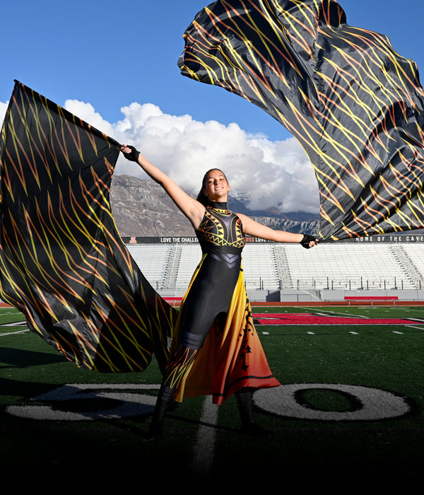 Color Guard Flags