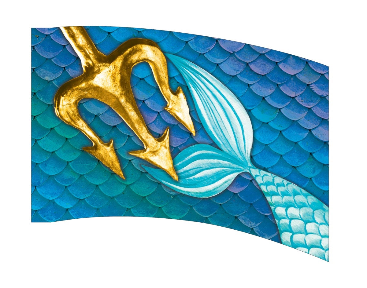 Printed Color Guard Flag