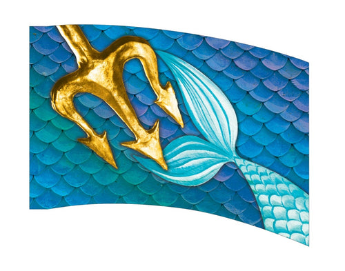 Printed Color Guard Flag