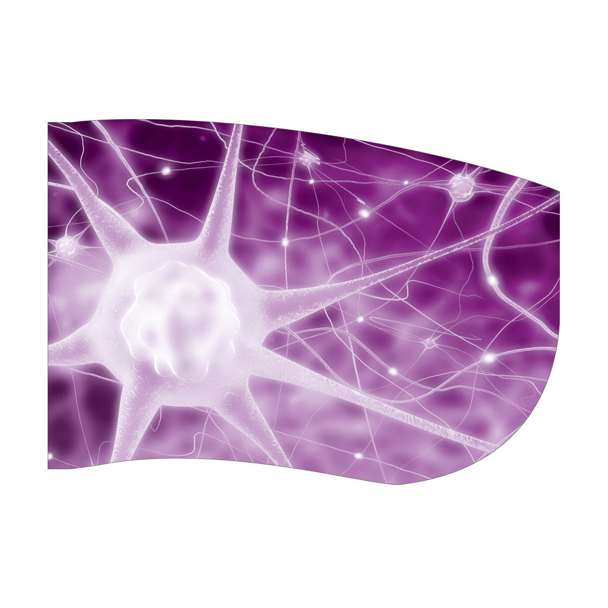 Printed Color Guard Flag