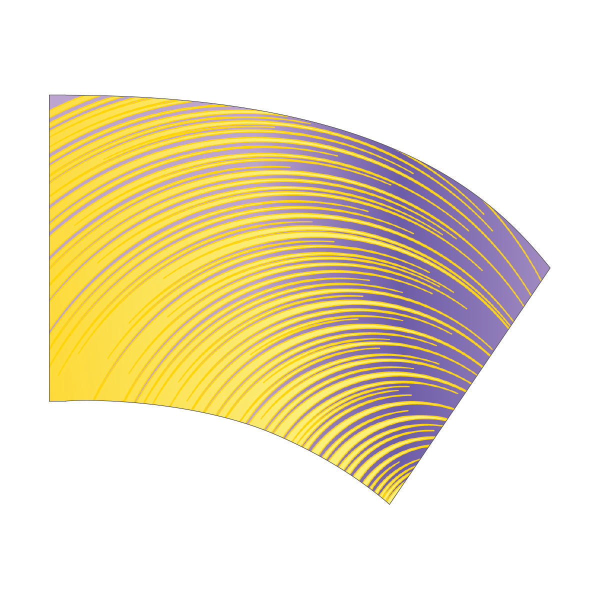 Printed Color Guard Swing Flag