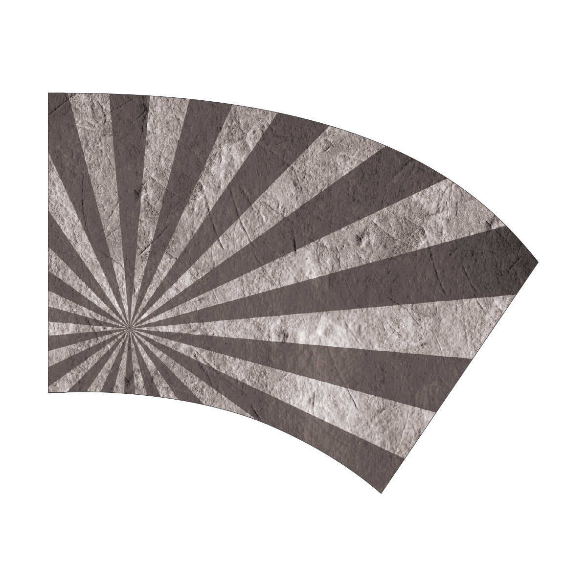 Printed Color Guard Swing Flag
