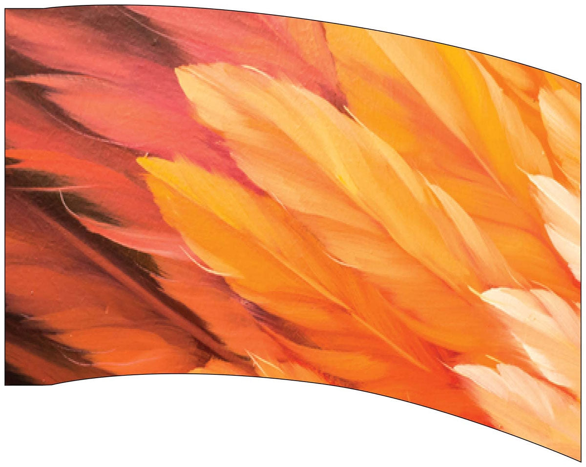 Printed Color Guard Flag