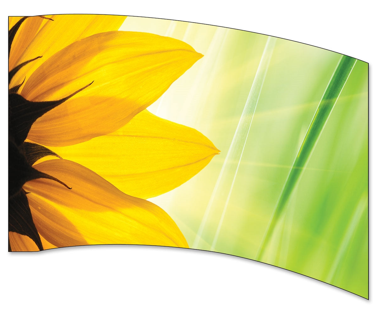 Printed Color Guard Flag
