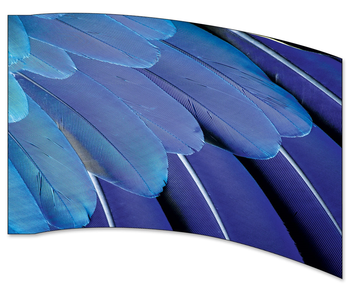 Printed Color Guard Flag