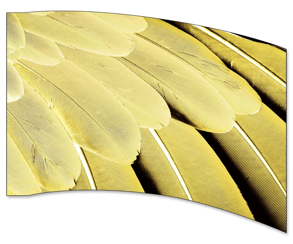 Printed Color Guard Flag