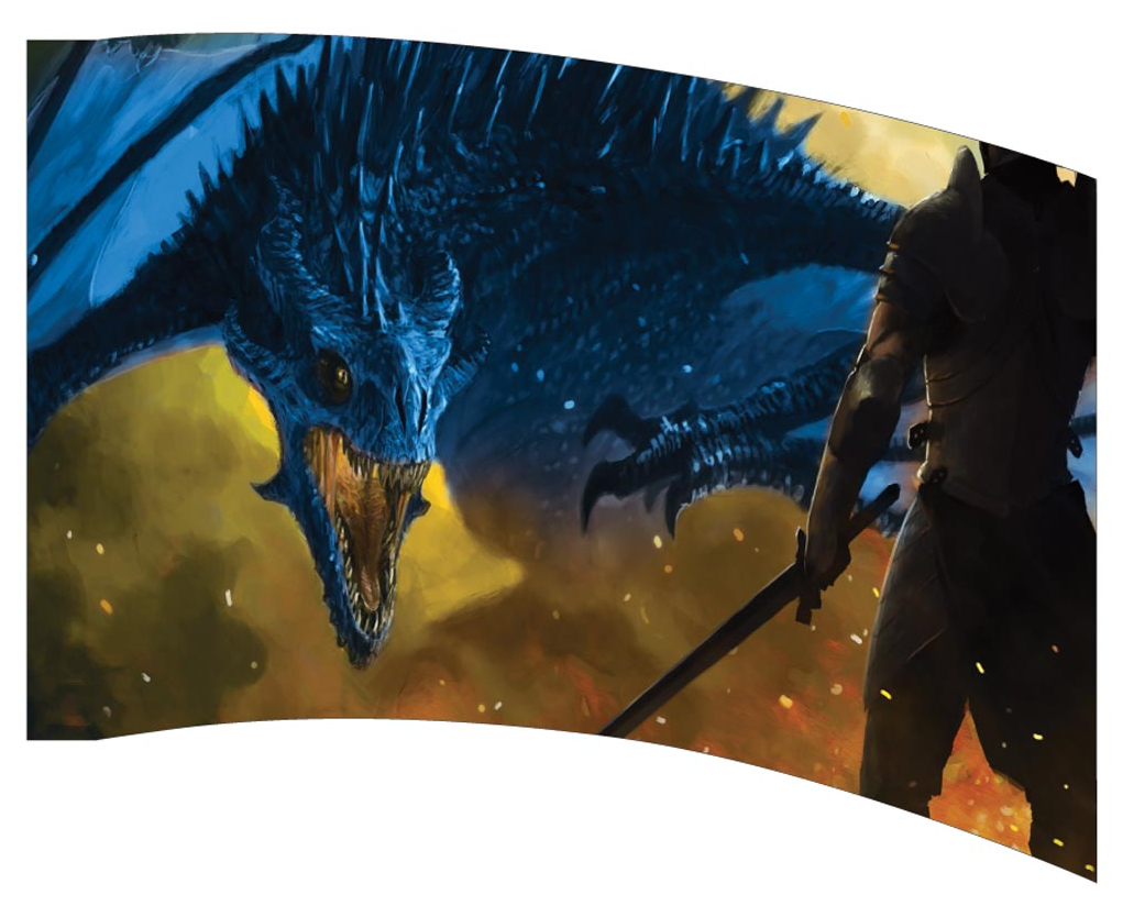 Printed Color Guard Flag