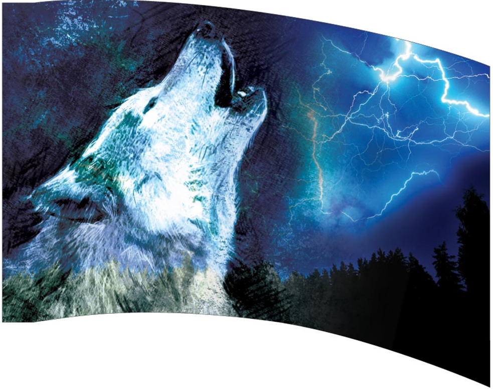 Printed Color Guard Flag